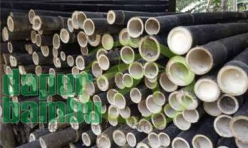 Bambu Hitam 5